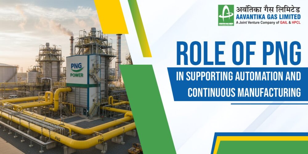 The Role of PNG in Supporting Automation and Continuous Manufacturing ...